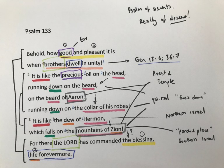 Praises go up; blessings come down. Musings on Psalm 133. – Liam Thatcher